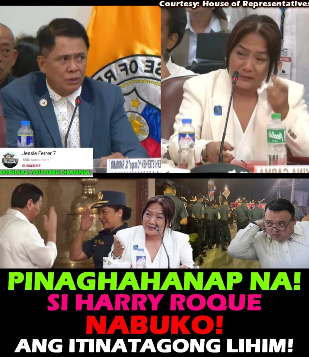 'KONTROBERSYAL NA UGNAYAN AT KONSPIRASYON': ROYINA GARMA, NABUKING ANG ...