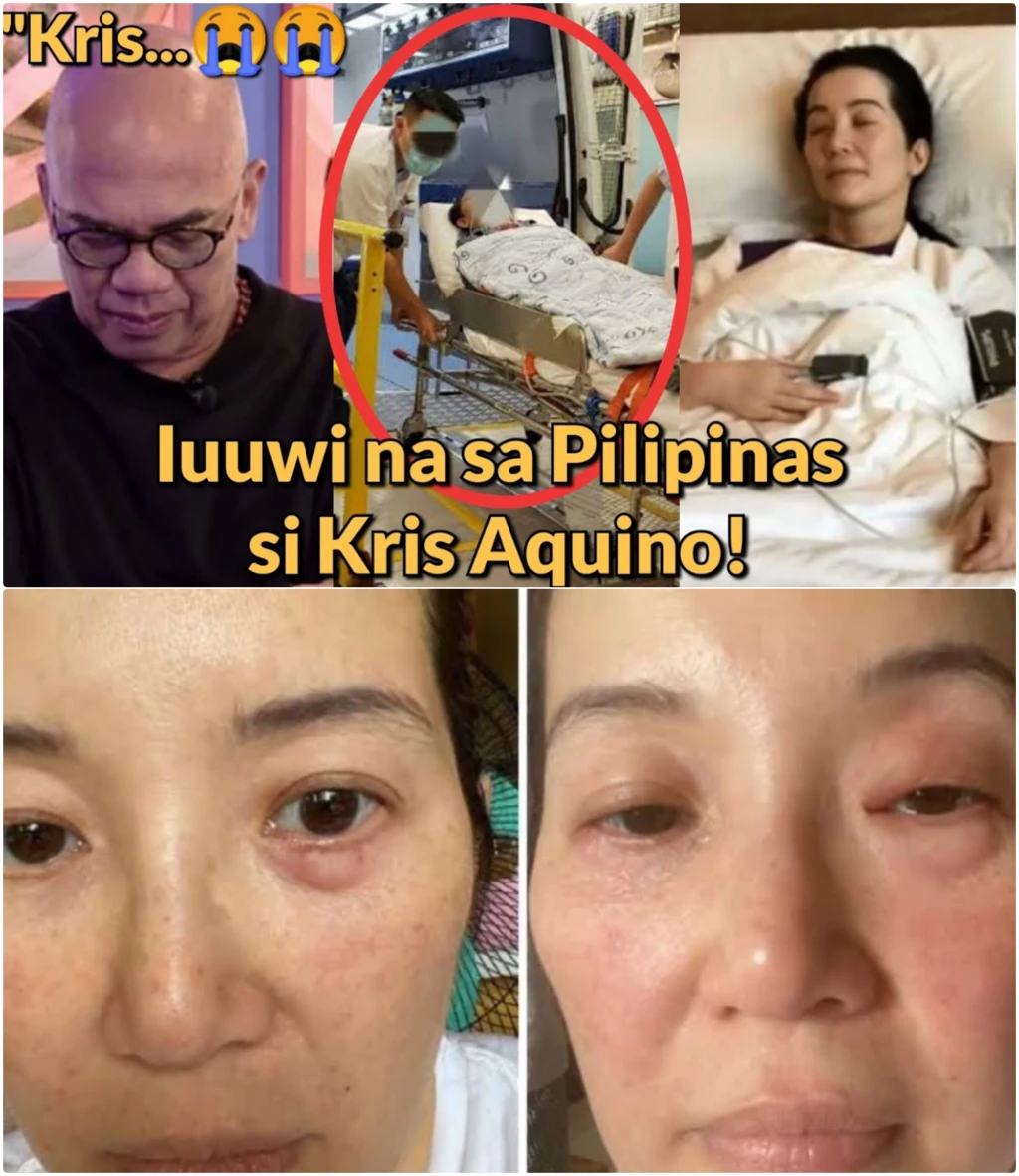 ANG PAG-UWI NG REYNA: SI KRIS AQUINO, HINAHAMON ANG KAMATAYAN SA ...