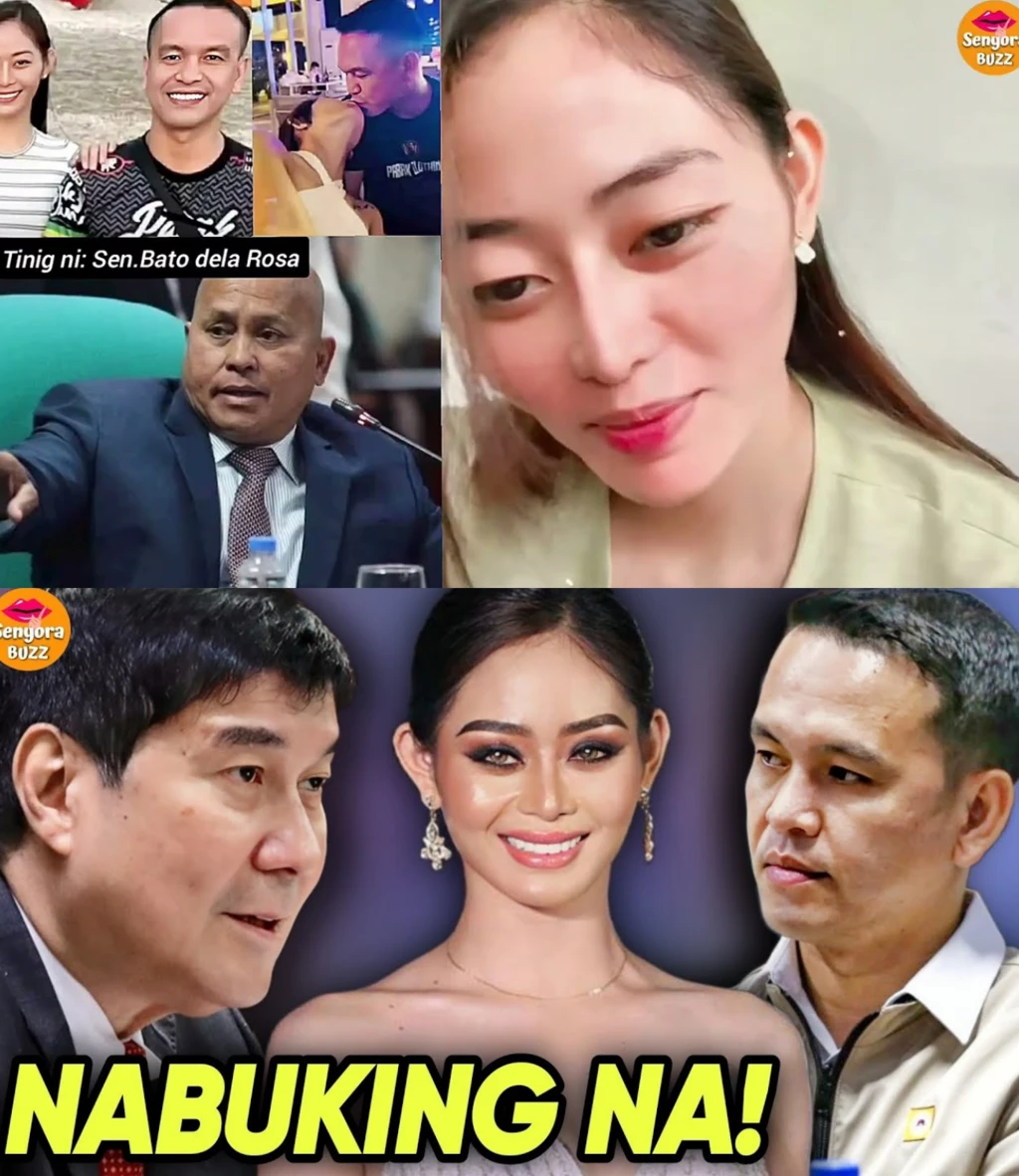 Kasinungalingan ni De Castro, Binatikos; Kontrobersyal na Pagpapalaya ...