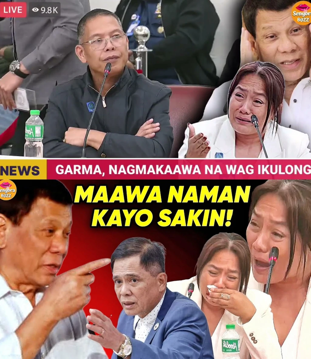 "HUWAG PO!": Emosyonal na Pakiusap ni Royina Garma sa Kongreso Habang ...