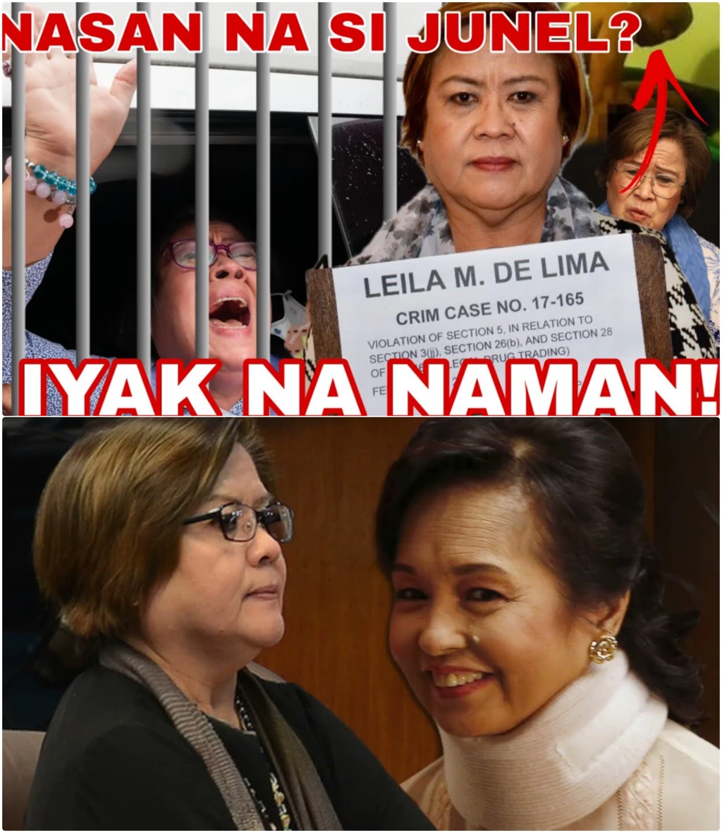 Mula Rehas Patungong Kongreso: Ang Bagong Yugto sa Buhay ni Leila de ...