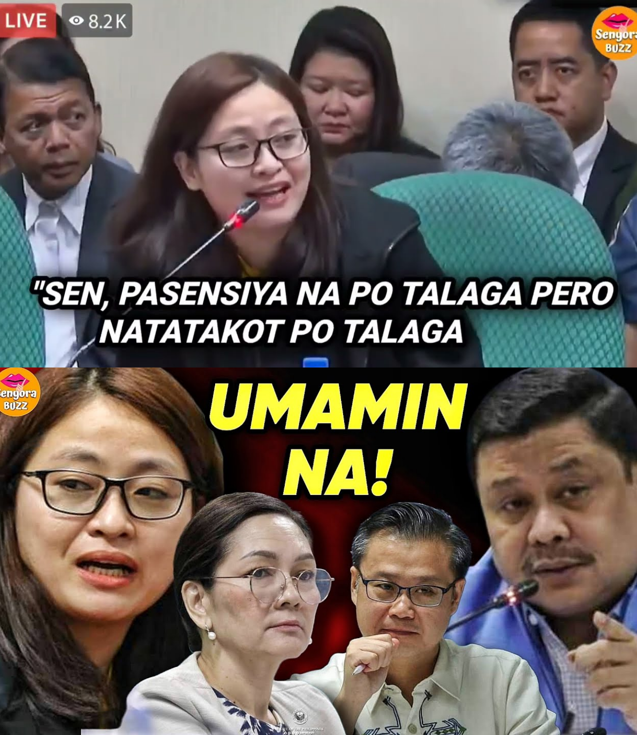 ANG LIHIM NA MASTERMIND AT ANG BUMABALABALANG KONEKSYON: Ang ...