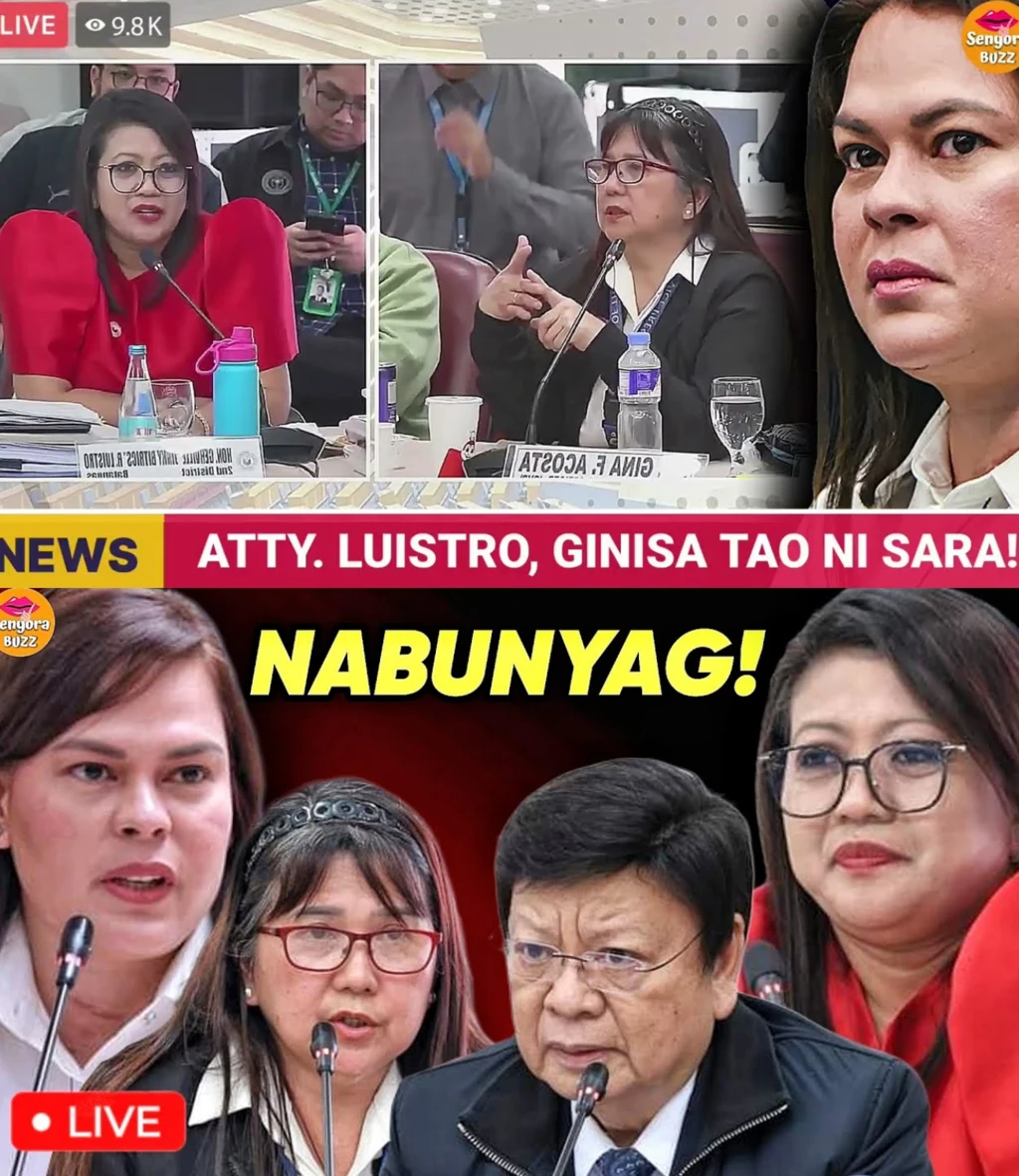4 Black Bags, P125-Milyon Cash: Ang Nakakagimbal na Pag-amin ni Gina ...